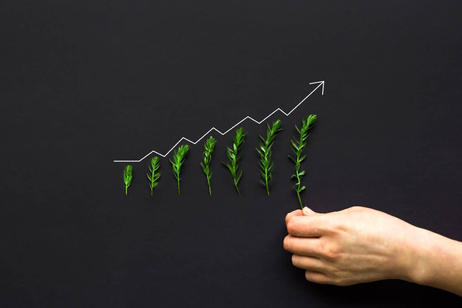 Grow Your Personal Brand for More Success w/ These Top 50 Tips